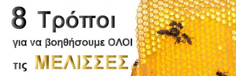 8 τρόποι για να βοηθήσουμε όλοι τις μέλισσες - Melissokomia Net . gr